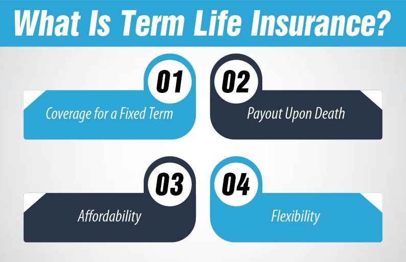 Term Life Insurance vs Whole Life: Key Differences Explained